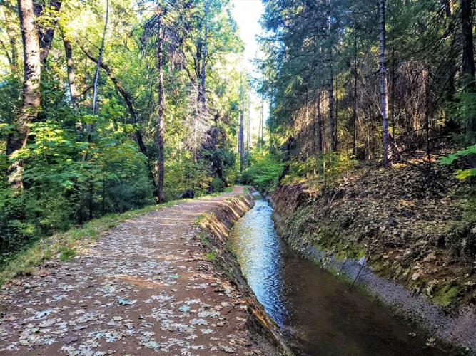 Mary West: Exploring the Cascade Canal Trail | Lifestyles | theunion.com