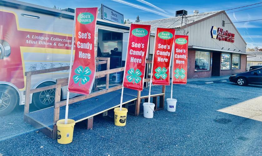 Local 4-H clubs begin See’s Candy fundraiser on Idaho-Maryland Mine ...