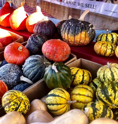 Nevada County Captures: Rice fields | Community | theunion.com