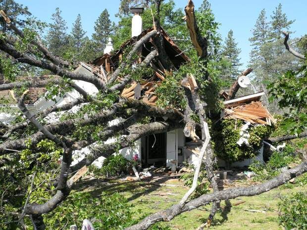 Massive oak tree falls, damages home | News | theunion.com
