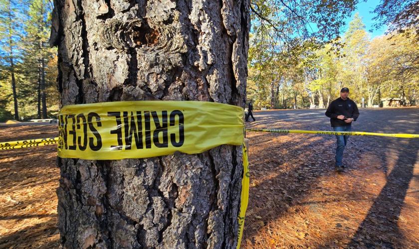 FBI gets involved in Condon Park homicide investigation | News ...