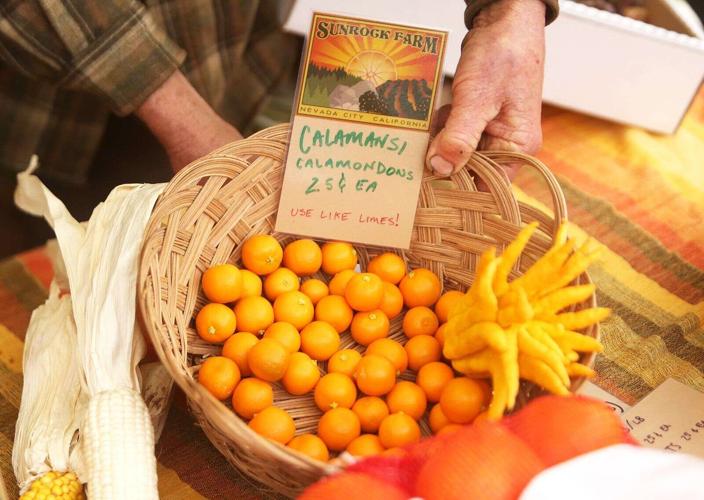 Farm feedings: First Winter Market of the year kicks off in Nevada City ...