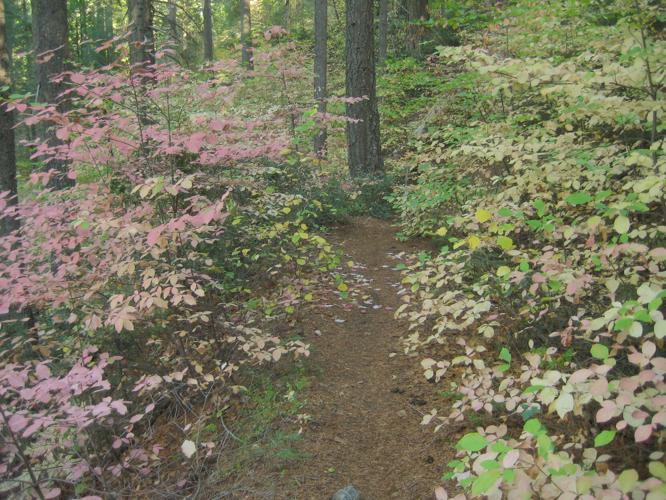 Nevada County Captures: Man In the moon salutes our flag | News ...