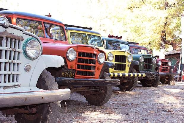 Cutting a holiday tree is a tradition for many as season gets underway ...