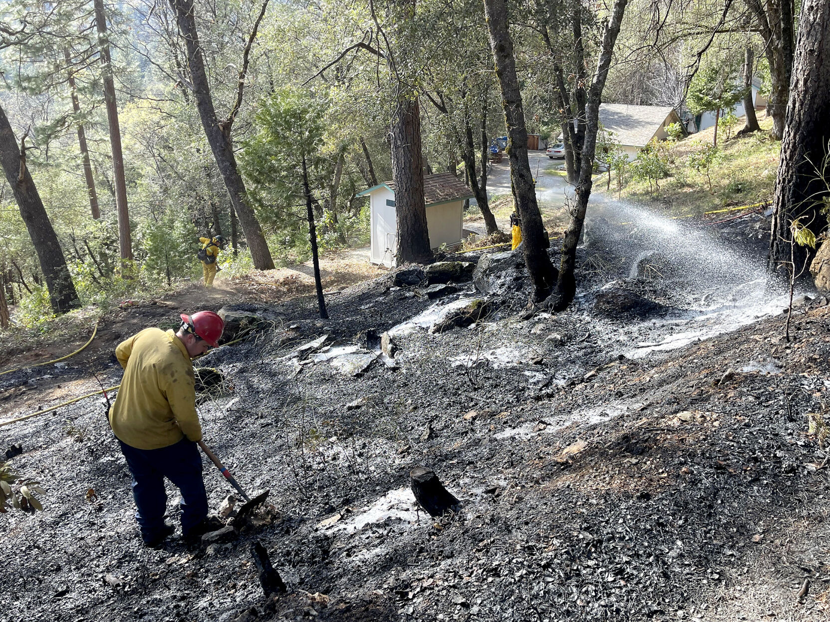Frequency of area vegetation fires increasing as days warm | News ...