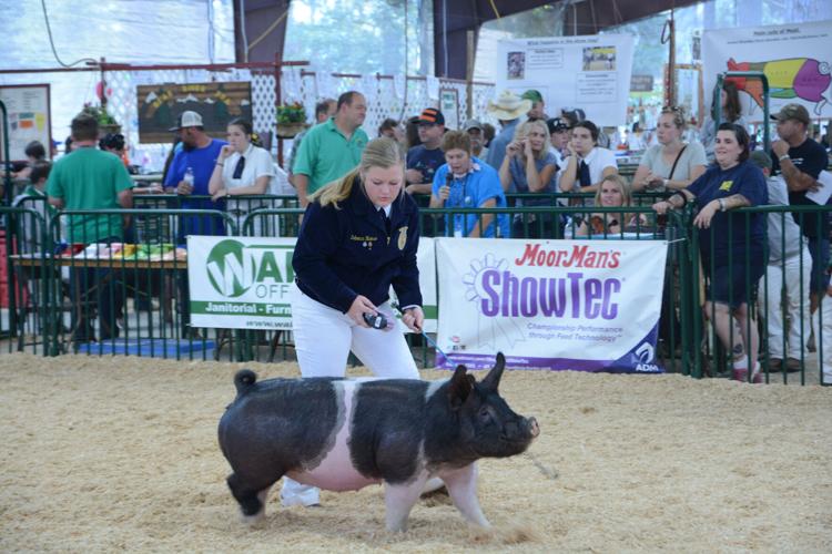 Country Roots and Cowboy Boots: The Nevada County Fair is almost here ...
