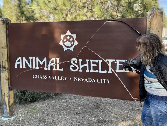 Grass Valley Animal Shelter