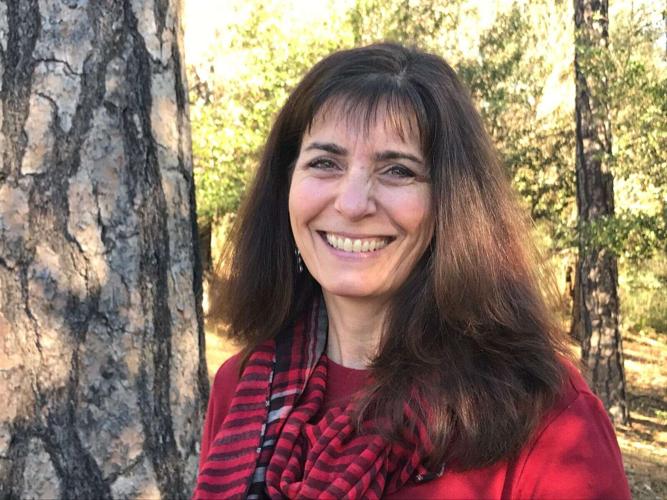 Art Works Gallery welcomes three new artists | Entertainment | theunion.com