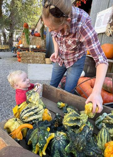 Picking the perfect pumpkin | News | theunion.com