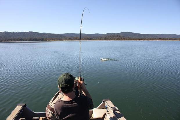 Denis Peirce: Trout fishing on Lake Davis | Outdoors | theunion.com
