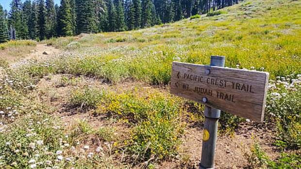 Mary West: The Day Hiker visits Mt. Judah Loop Trail | Outdoors ...