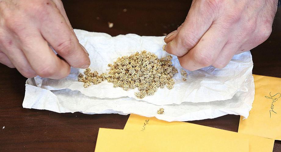 Getting a jump on the 2020 growing season: Local gardeners participate ...