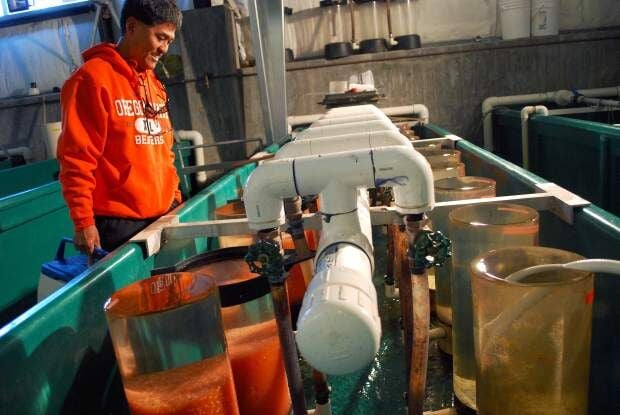 ‘Trout in the Classroom’ hatches new generation of ecologists ...