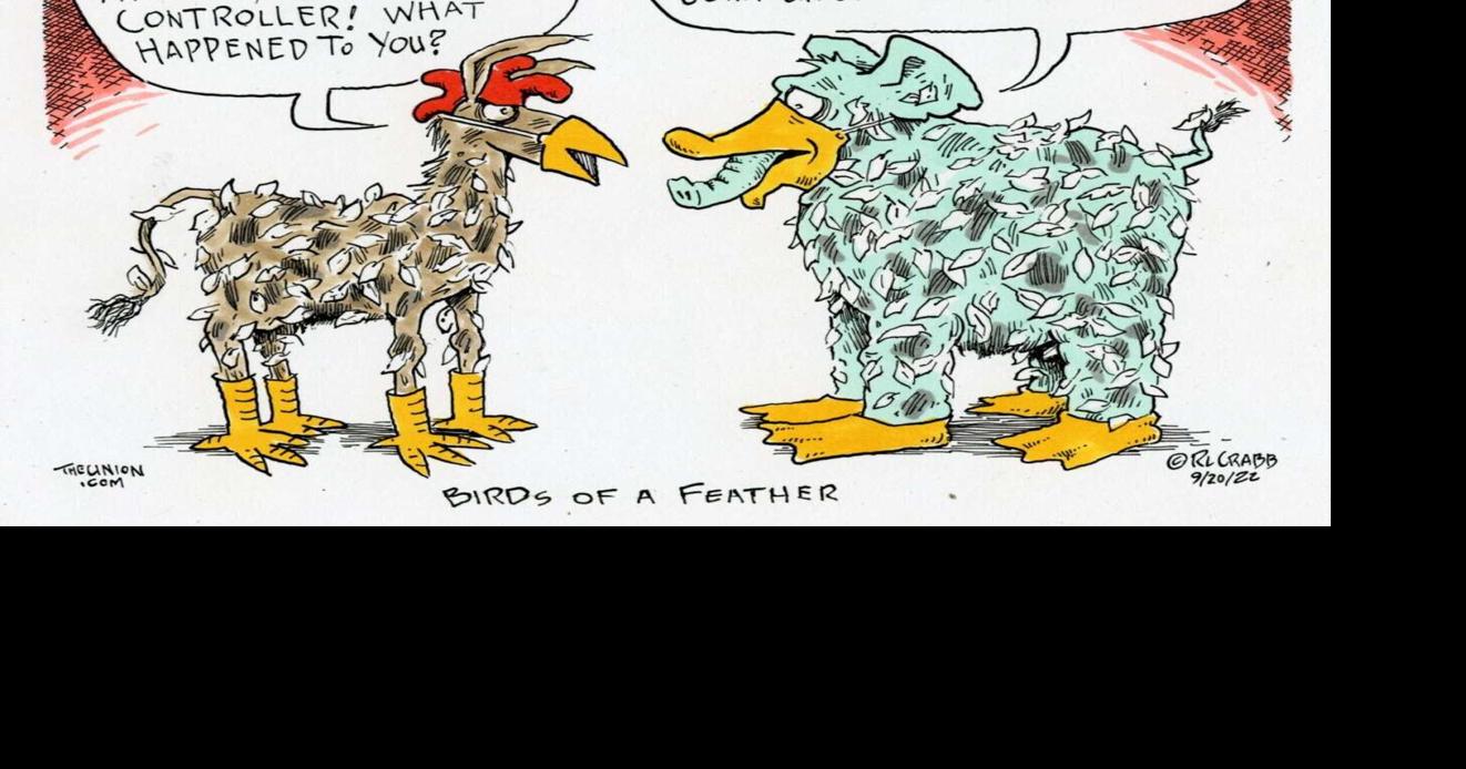 R.L. Crabb: It takes a village idiot | Cartoons | theunion.com