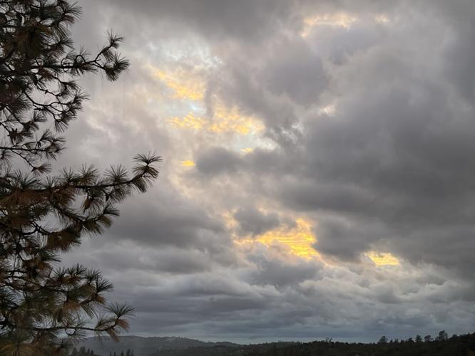 Nevada County Captures: Mural painted by my grandson Mikey Levitan and ...