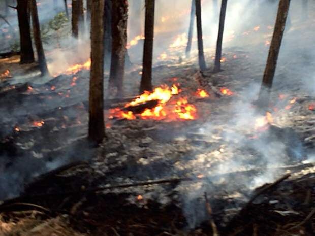 UPDATE: All evacuations lifted in Dog Bar Fire; 55% containment (VIDEO ...