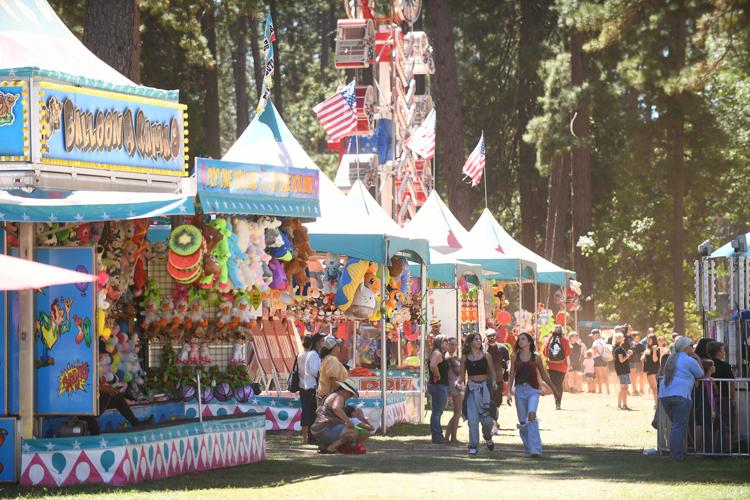 Country Roots and Cowboy Boots: The Nevada County Fair is almost here ...