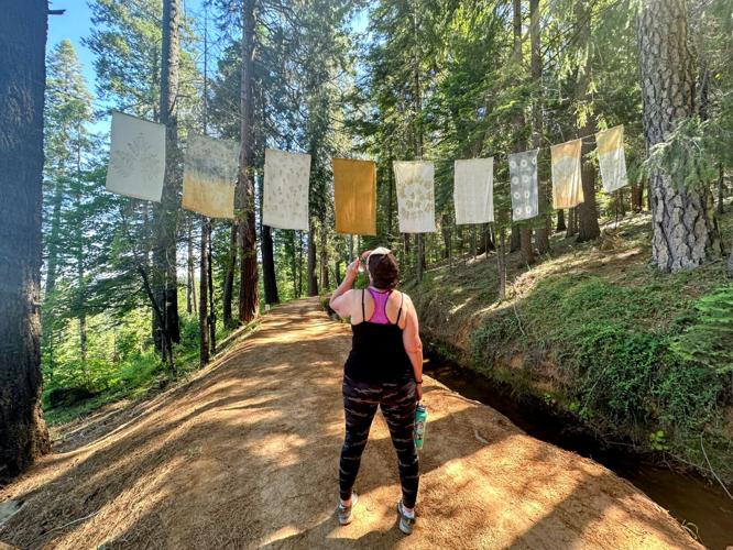 Nevada County Captures: Cooling off in Englebright lake | Multimedia ...