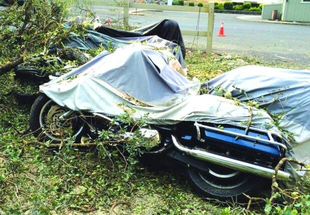 Wind causes serious damage | News | theunion.com