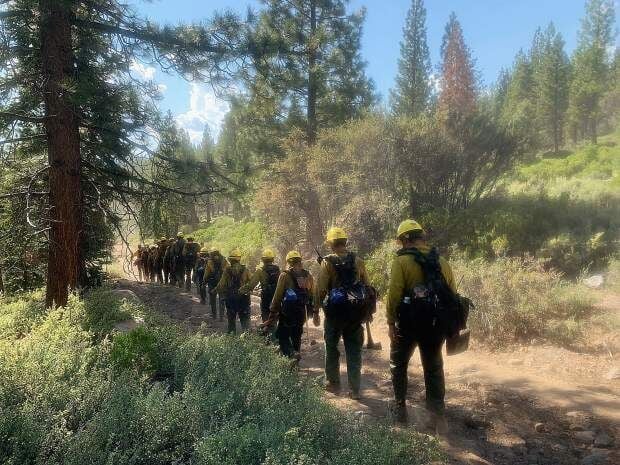 Tahoe National Forest Hotshot crews looking for recruits for 2020 field ...