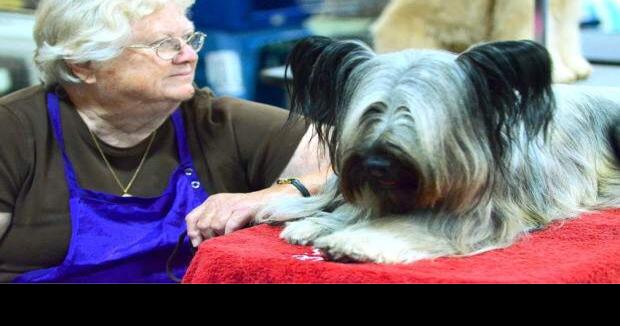 Dog’s Day: Gold Country Kennel Club 14th annual All-Breed Dog Show ...