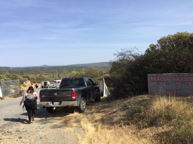 UPDATE: Nevada County fire: Evacuations lifted after 2 blazes brought ...