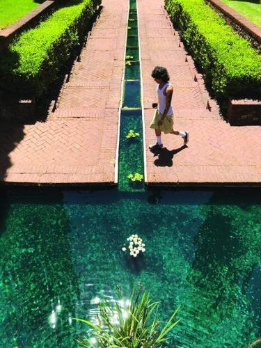 Nevada County Captures: Community trash clean-up; GiGi the goose | News ...