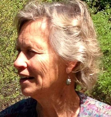Obituary of Mary Jane Di Piero | News | theunion.com