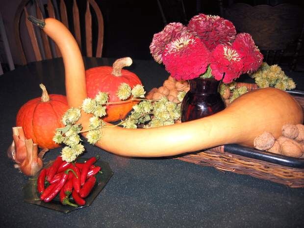 Carolyn Singer: November in my garden — Savoring fall, preparing for ...