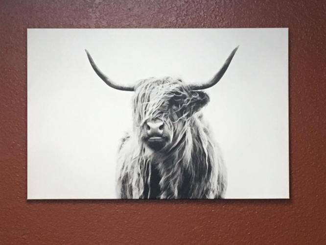 Feeding a Passion—New Owners for Blue Cow Deli | News | theunion.com