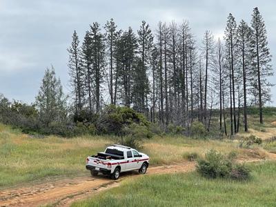 Morning spot fires extinguished off of E. Bennett Road | News ...