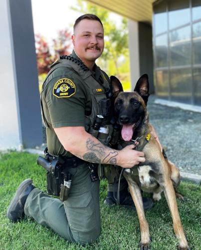 Lorraine’s Lowdown | News | theunion.com