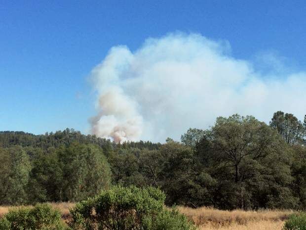 Applegate Fire burns 420 acres; firefighters reach 20% containment ...