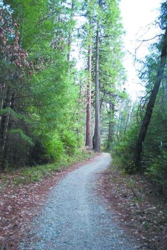 Empire Mine trails ranger Greg Sherr | Entertainment | theunion.com