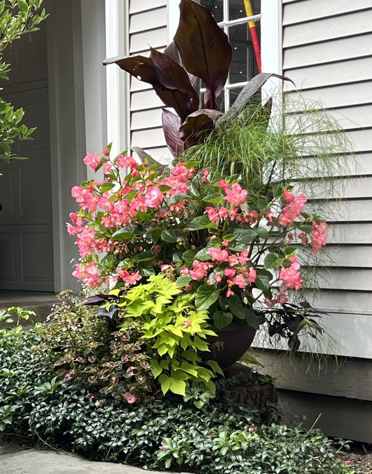 Melinda Myers: Tips for container gardening success | Lifestyles ...