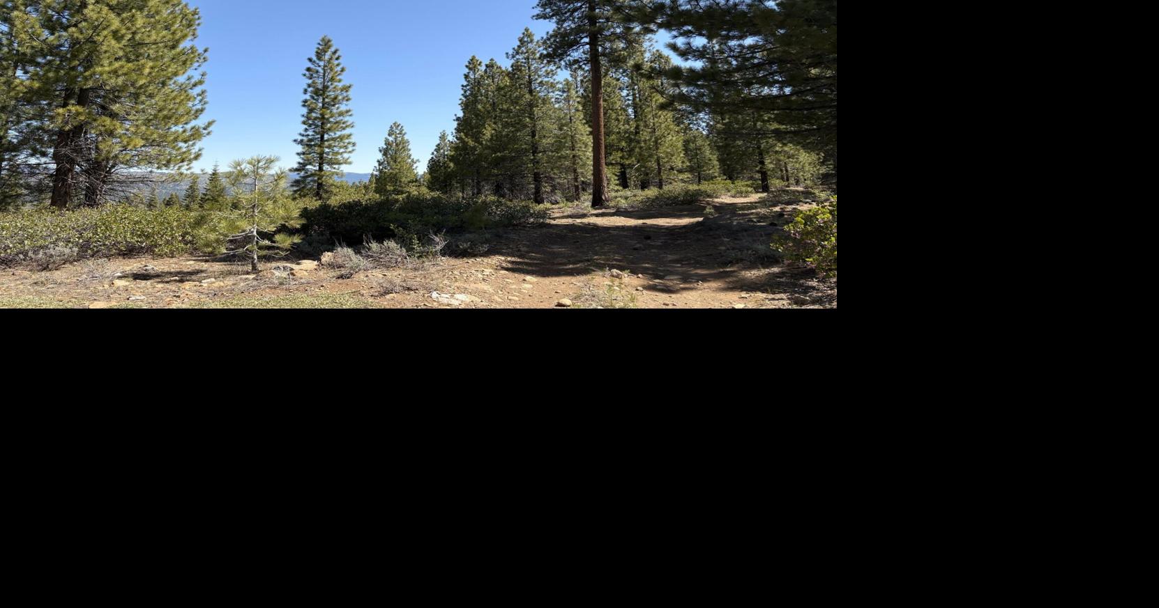 OES in partnership with Tahoe National Forest launch 110-acre roadside ...