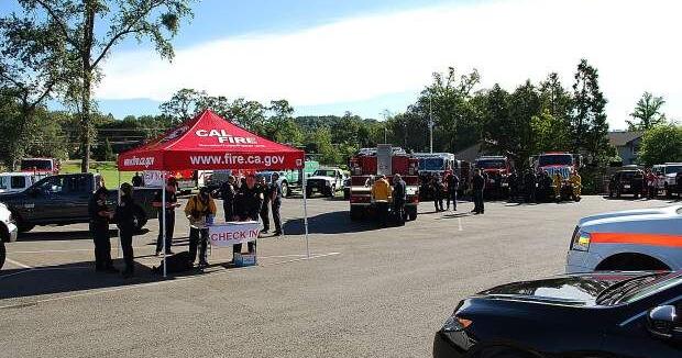 Nevada County Captures: Community trash clean-up; GiGi the goose | News ...