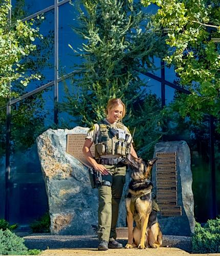 Nevada County Sheriff’s Office welcomes newest team member: K9 Riggs ...