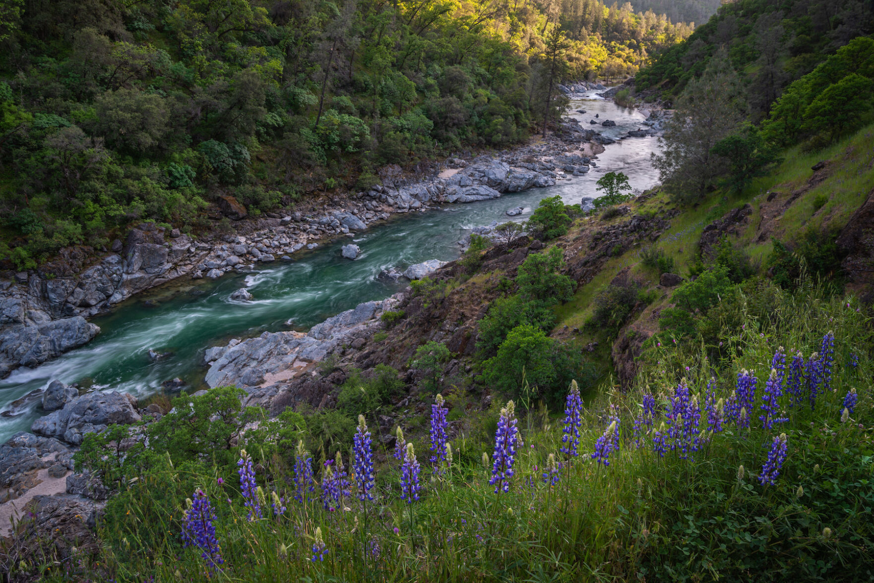 Yuba Bridgeport Lupine River no sunset later white stream of water on ...