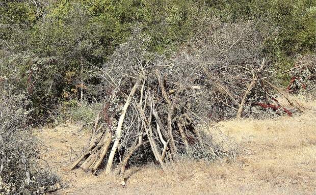 CAL FIRE Burn Permits Required May 1 in Nevada, Yuba, Placer, and ...