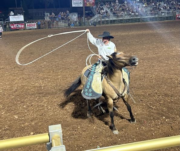 Mutton bustin' champion and bull and bronc riding at the county fair ...