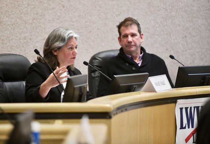 Candidates for Nevada County Supervisor District 1 participate in ...