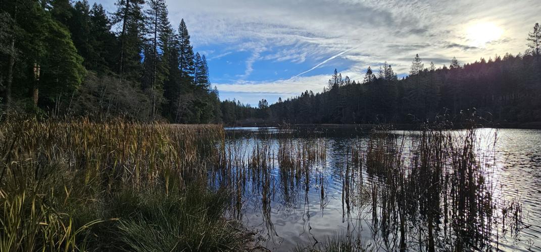 Nevada County Captures: Last full moon of 2025 | Calendar | theunion.com
