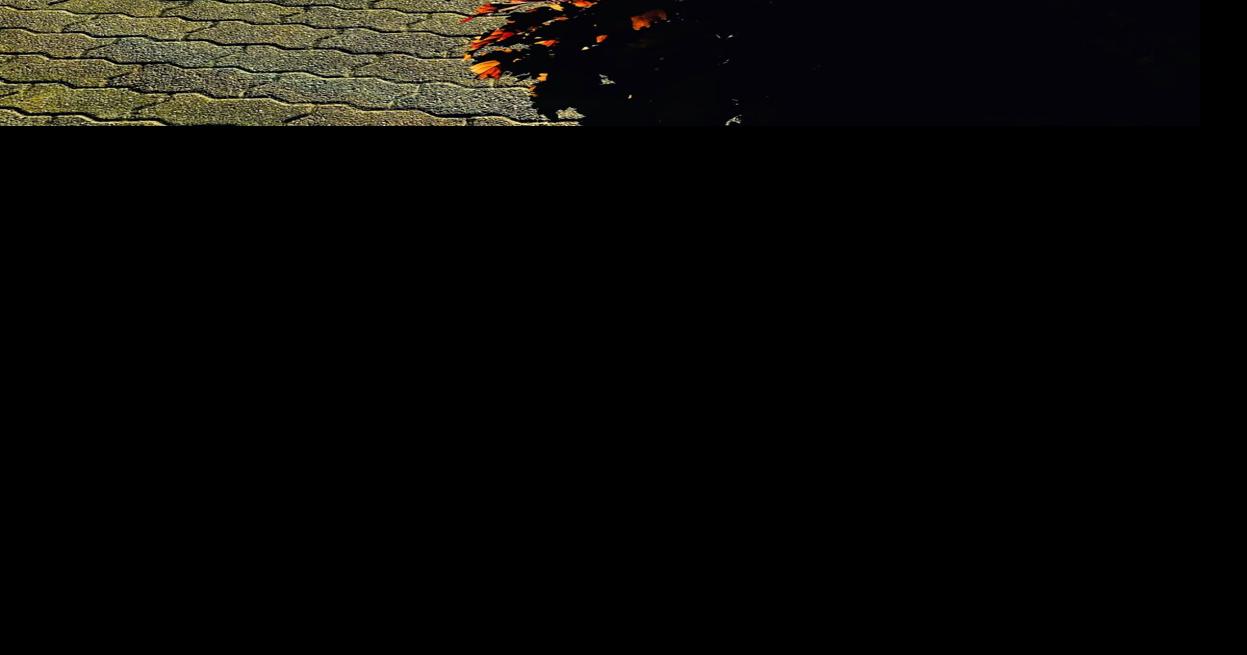 Nevada County Captures: Bank Alley! | News | theunion.com