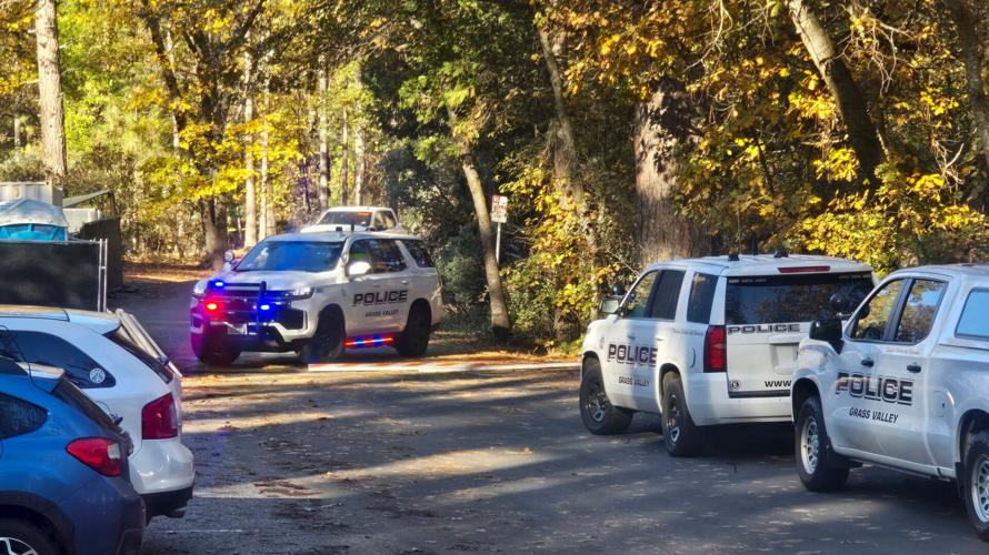 FBI gets involved in Condon Park homicide investigation | News ...