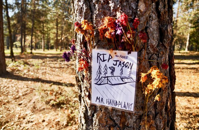 Top stories of 2025 as reported by The Union newspaper | News ...