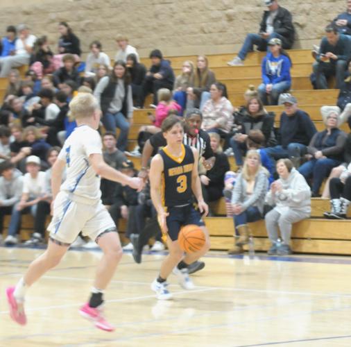 Miners drop their first FVL battle 57-46 to Zebras | Sports | theunion.com