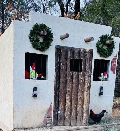 A cluckin’ good time: Wild West Chicken Coop stirring things up | News ...