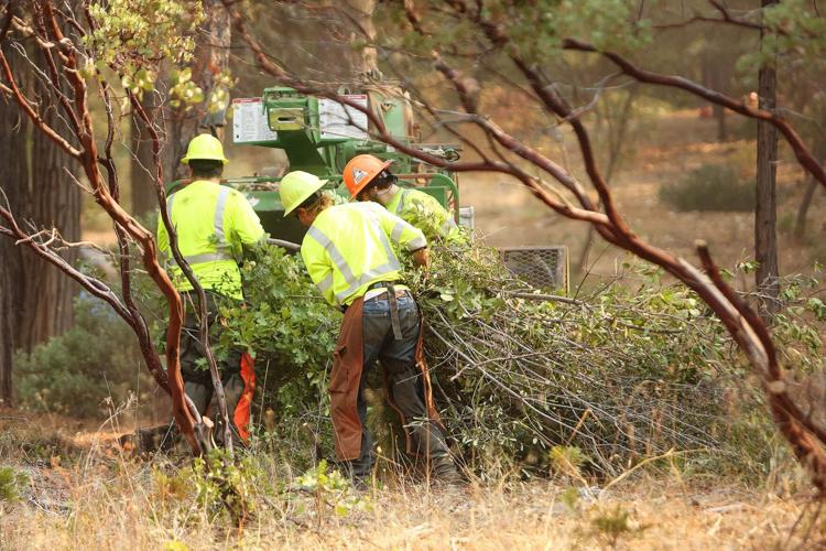 Ponderosa defense zone nearing completion: More shaded fuel breaks in ...