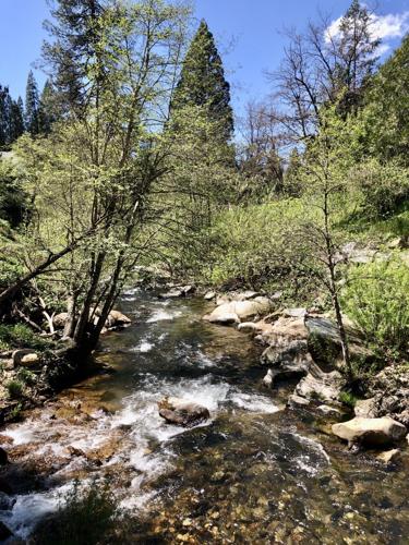 TJ's Roadhouse to transition to Creekside Nevada City | News | theunion.com